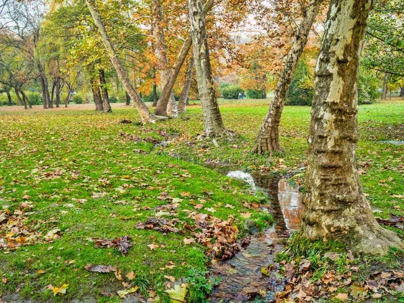 Autumn park scenes stock image. Image of park, reflections - 82249919