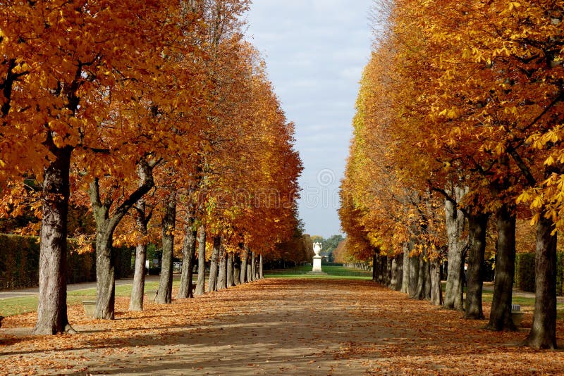 Autumn Park in the Sunlight Stock Image - Image of fall, landmark: 82278999