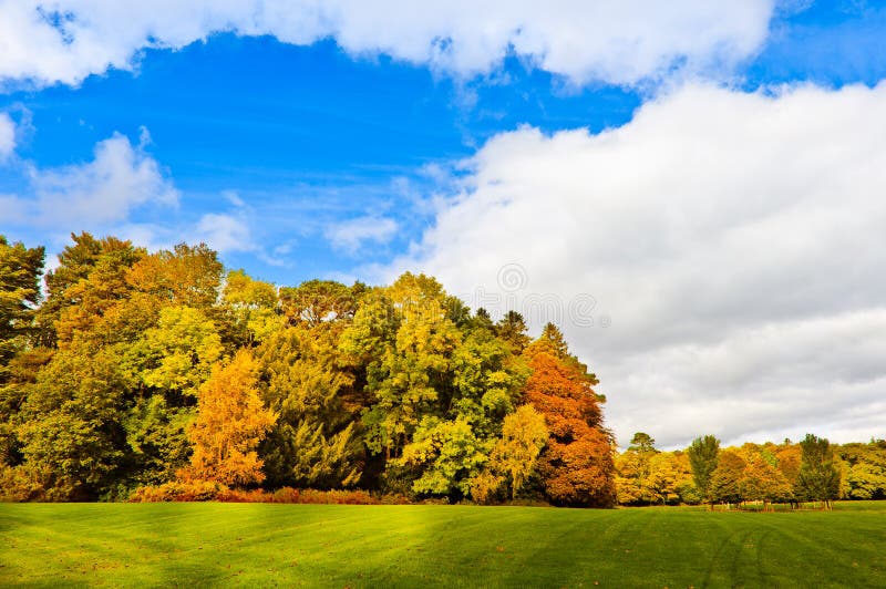 Autumn in Park on Sunny Day, Ireland Stock Photo - Image of leaf ...