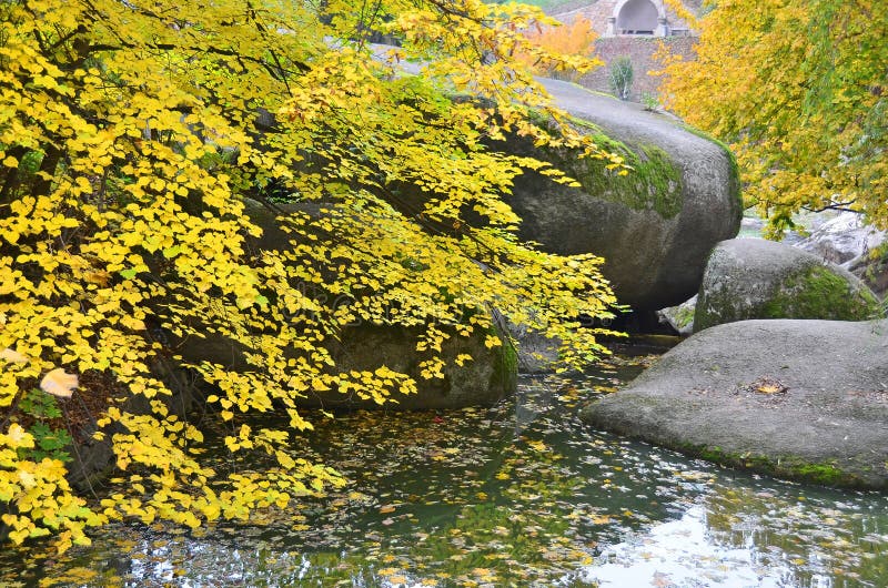 Autumn Park Tree Over Water Stock Image - Image of grass, leaves: 33044391