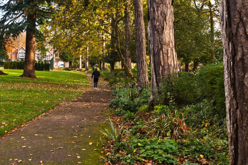 Autumn in Park with Trees Flowers and Leaves Stock Image - Image of ...