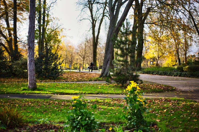 Autumn in Park with Trees Flowers and Leaves Stock Image - Image of ...