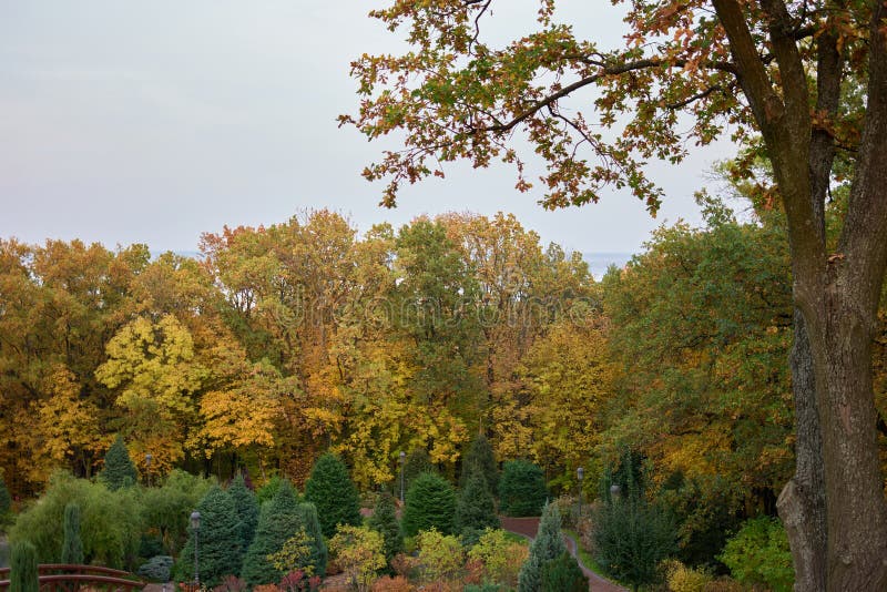 Autumn Park Trees Landscape. Stock Photo - Image of fall, foliage ...