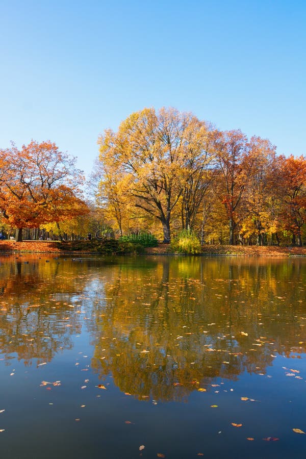 Autumn Park with Trees Over Water Stock Photo - Image of people, path ...
