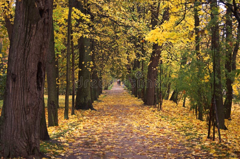 Autumn park walk 1 stock photo. Image of leaf, fall, natural - 3429424