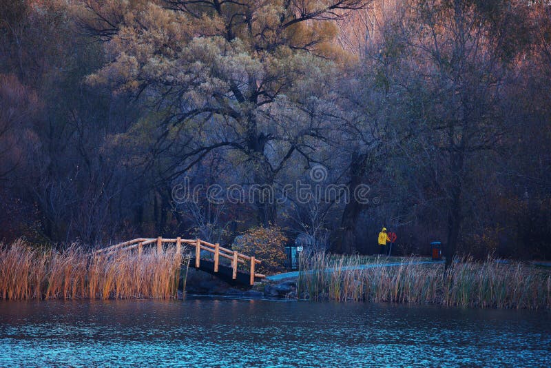 Autumn Park with a Wood Bridge Stock Image - Image of woods, scenic ...
