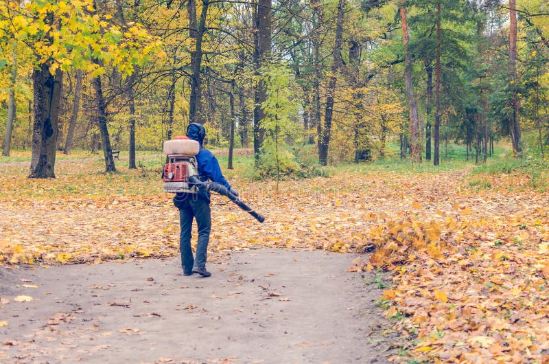 In the Autumn Park Worker Removes the Road from the Fallen Leaves with ...