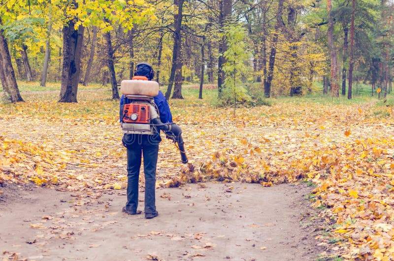 Park worker stock image. Image of flower, service, drive - 2581863