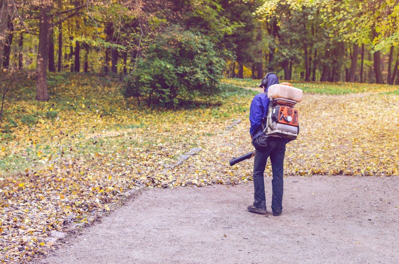 Park worker stock image. Image of flower, service, drive - 2581863
