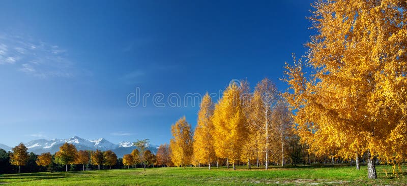 Autumn in the park stock photo. Image of botanical, lawn - 46166226
