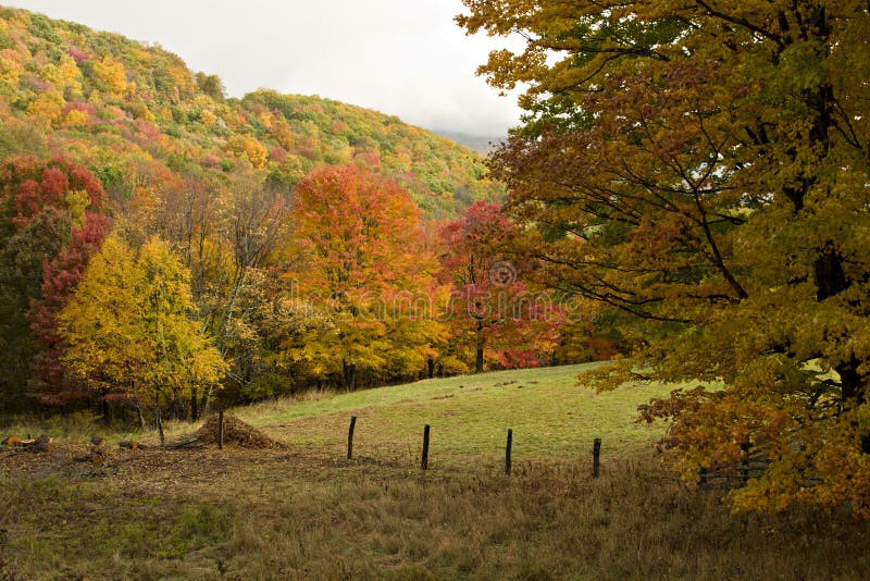 Autumn Pasture and Fence stock image. Image of nature - 10227657