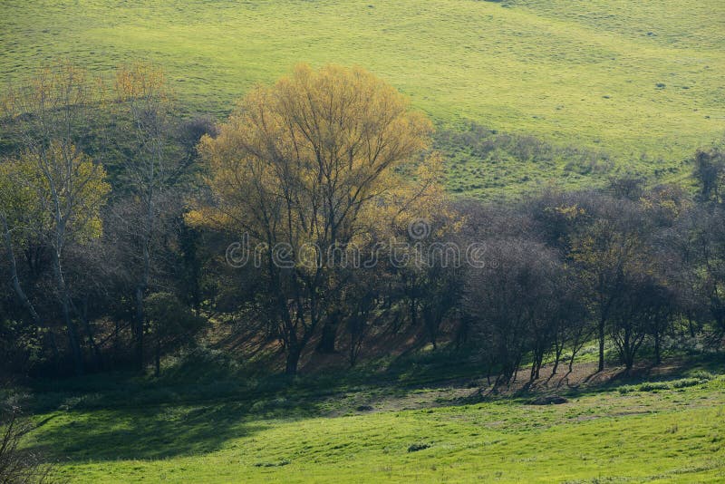 Autumn pasture and forests stock photo. Image of colored - 62169108