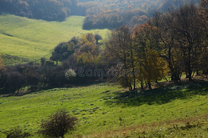 Autumn pasture and forests stock image. Image of autumn - 62169165