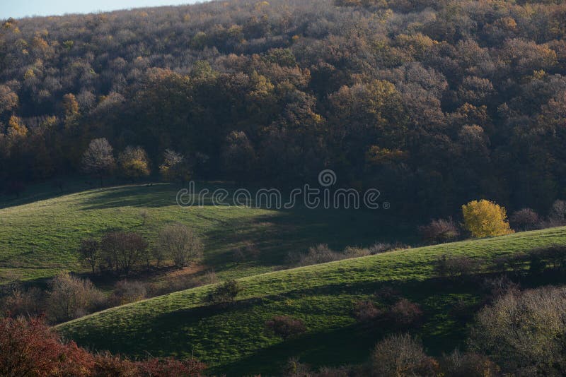 Autumn pasture and forests stock photo. Image of mountain - 62169310