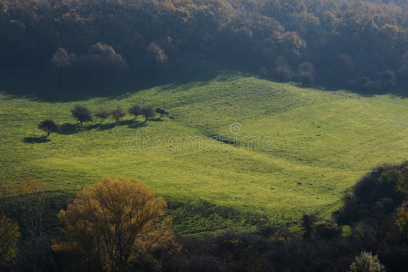 Autumn pasture and forests stock image. Image of colored - 62169367