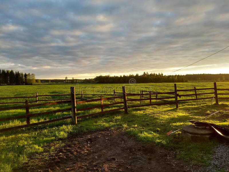 Autumn Pastures stock photo. Image of pastures, pasture - 99040164