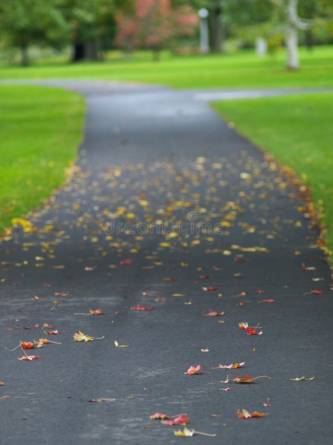 Autumn path stock image. Image of landscape, canada, nature - 10477949