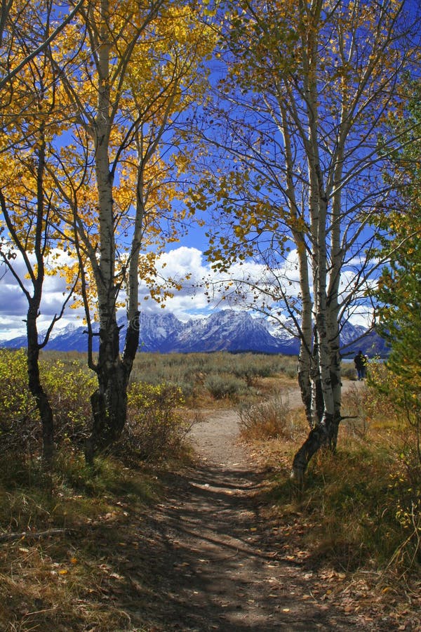 Autumn Path stock image. Image of leaves, mountains, thanksgiving - 1298383