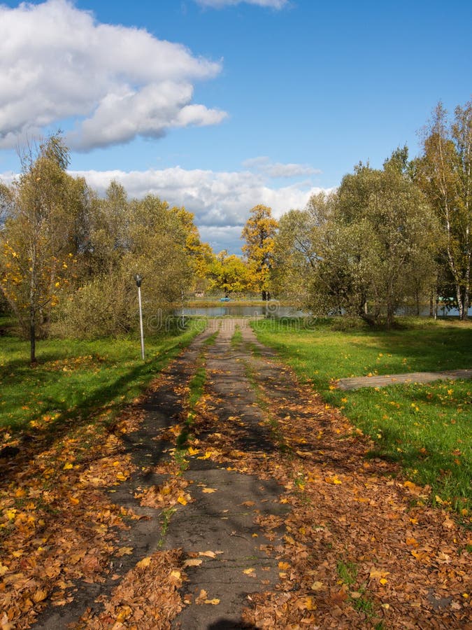 Autumn path stock image. Image of outdoors, color, birch - 26923399