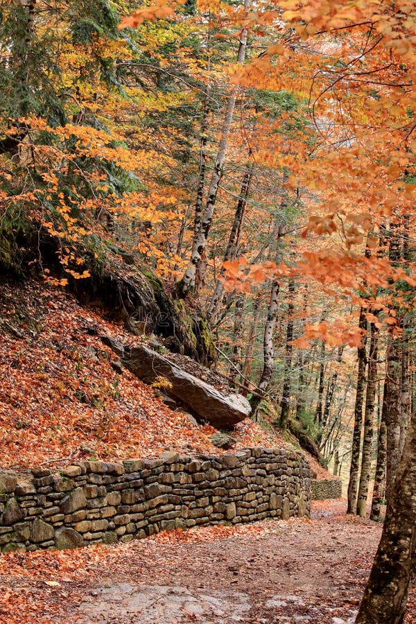 Autumn Path stock photo. Image of pyrenees, deepness - 27605224