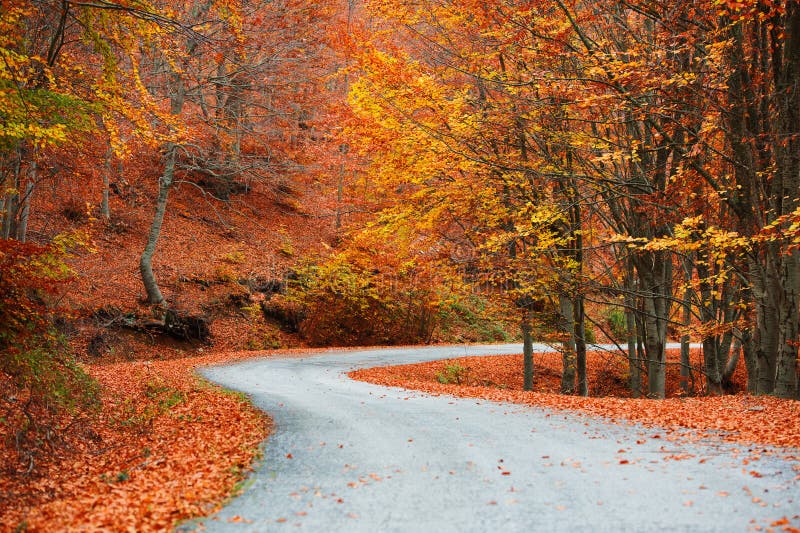 Road in Autumn stock photo. Image of season, scenic, byway - 27311796