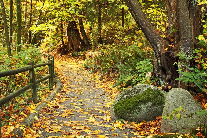 Autumn path stock image. Image of serence, scenic, scenery - 6903197