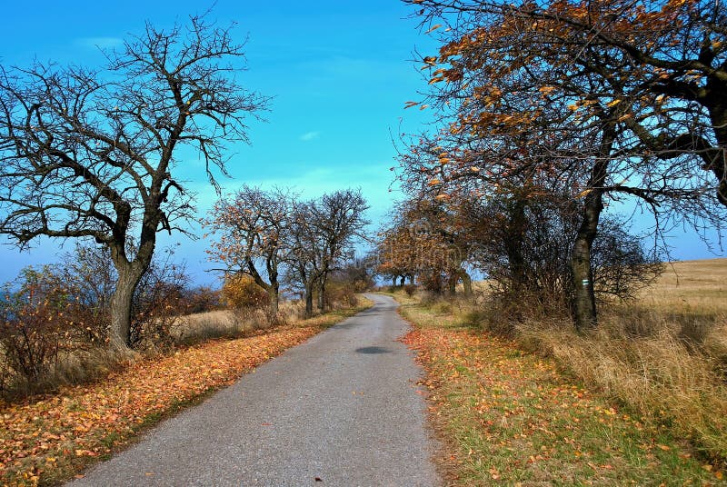 Autumn path stock photo. Image of road, scenery, colorful - 45879110
