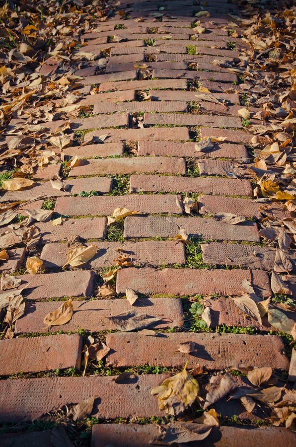 Coblestone Path in Summer Suns Stock Photo - Image of grass, turn: 1178302