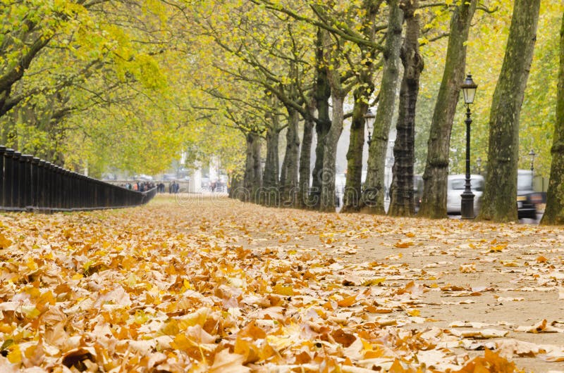 Autumn Path in Hyde Park, London Stock Photo - Image of city, autumn ...