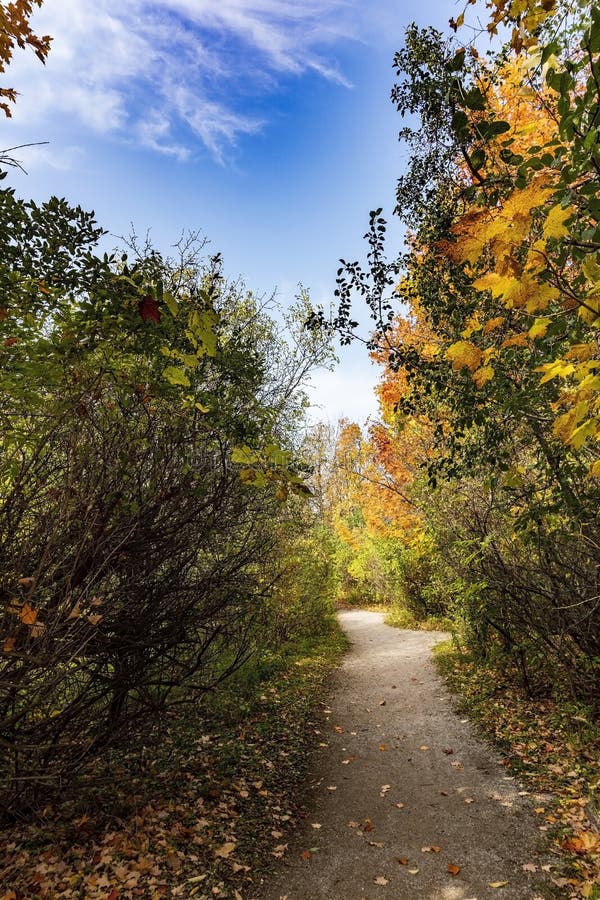 Autumn Path in the Park Area Stock Image - Image of fall, yellow: 200706823