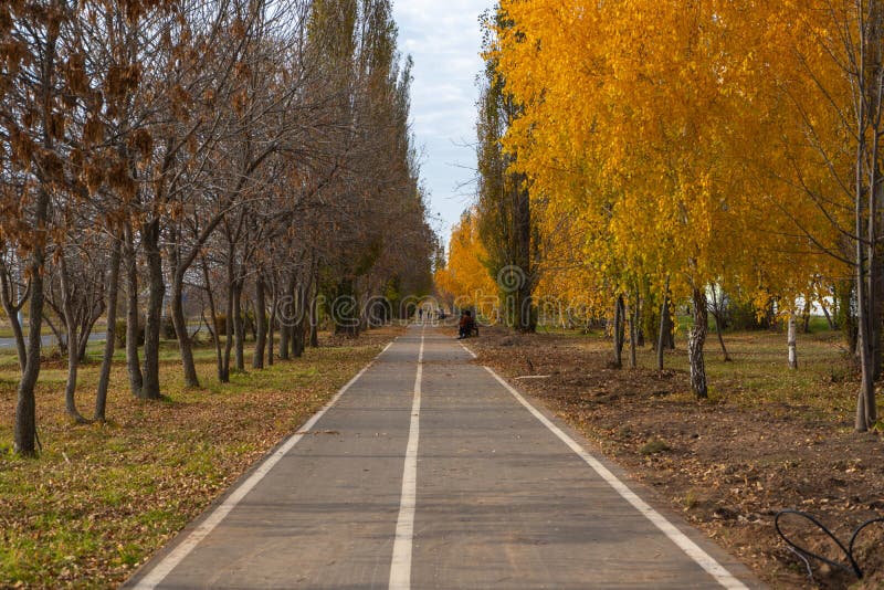 Autumn Path in the Park. Replacing the Lighting on the Right Stock ...