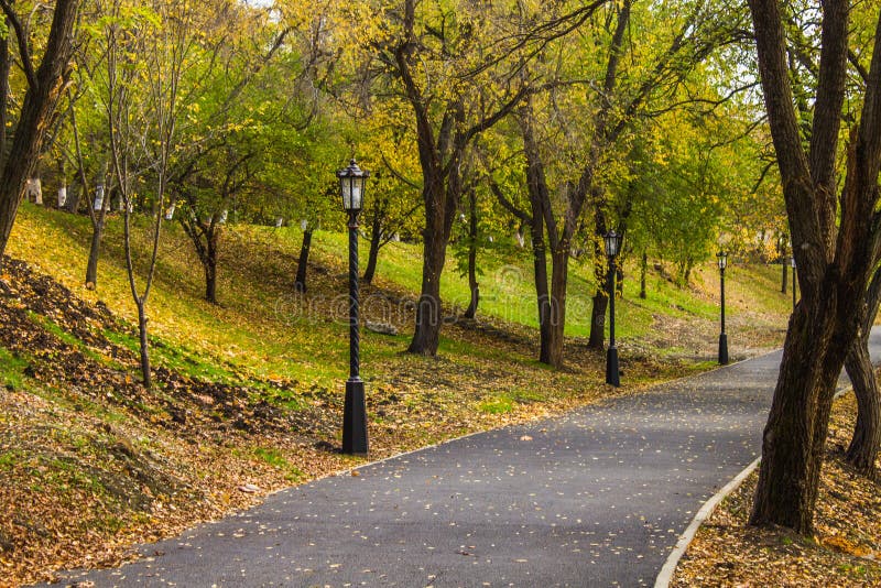 Autumn Path in the Park. Yellow Leaves on the Trees. Stock Image ...