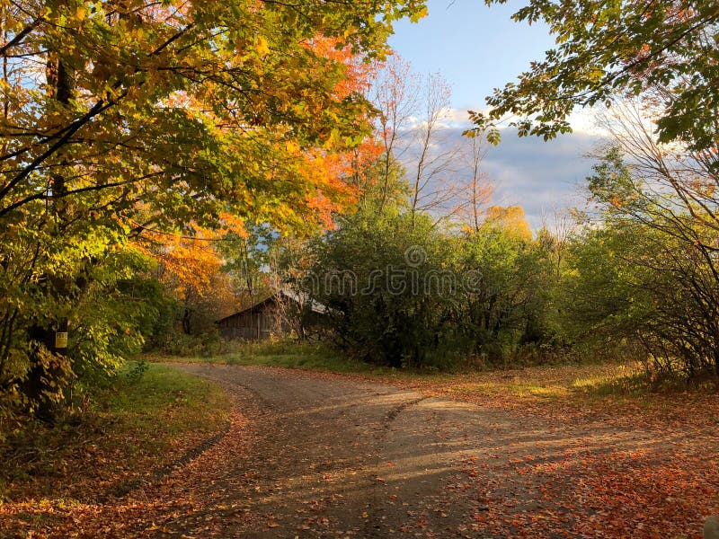 Autumn paths stock photo. Image of path, trail, forest - 327748396