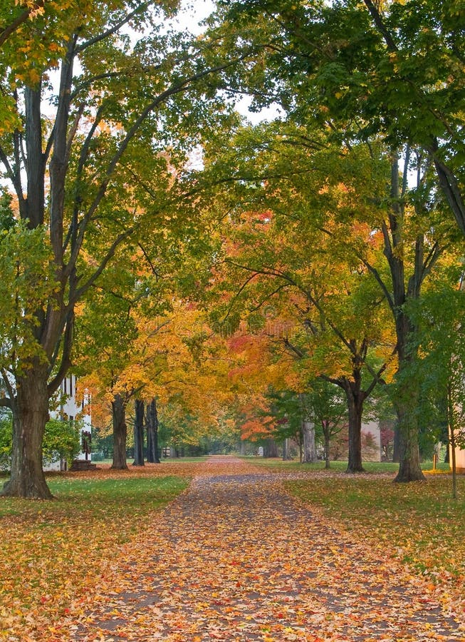 Autumn Pathway stock image. Image of rural, bucks, pennsylvania - 7190773