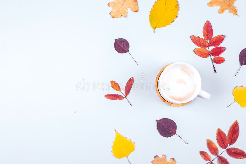 Autumn Pattern Fall Background with Leaves and Cup of Coffee. Hello ...