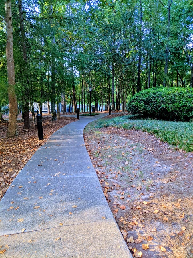 Autumn paved walkway stock image. Image of lawn, yard - 203746189