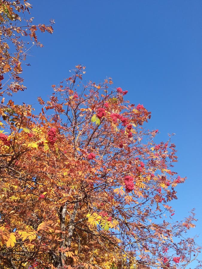 Peizaz Stock Photos - Free & Royalty-Free Stock Photos from Dreamstime