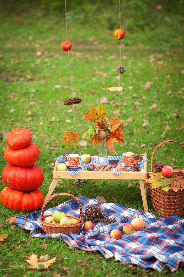 Autumn picnic in a park stock image. Image of basket - 76670237