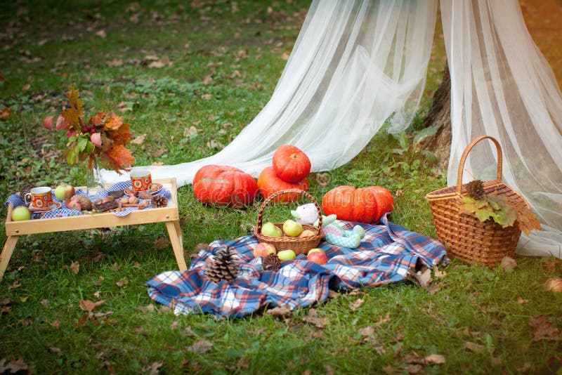 Autumn picnic in a park stock image. Image of fruit, field - 76670259