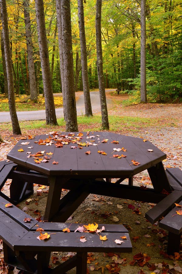 Autumn Picnic Table stock image. Image of landscape, attraction - 97488719