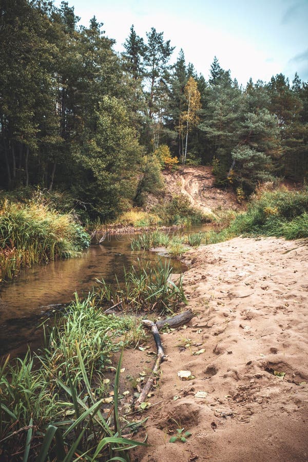 Autumn. Picturesque Trees by the River Stock Photo - Image of autumn ...