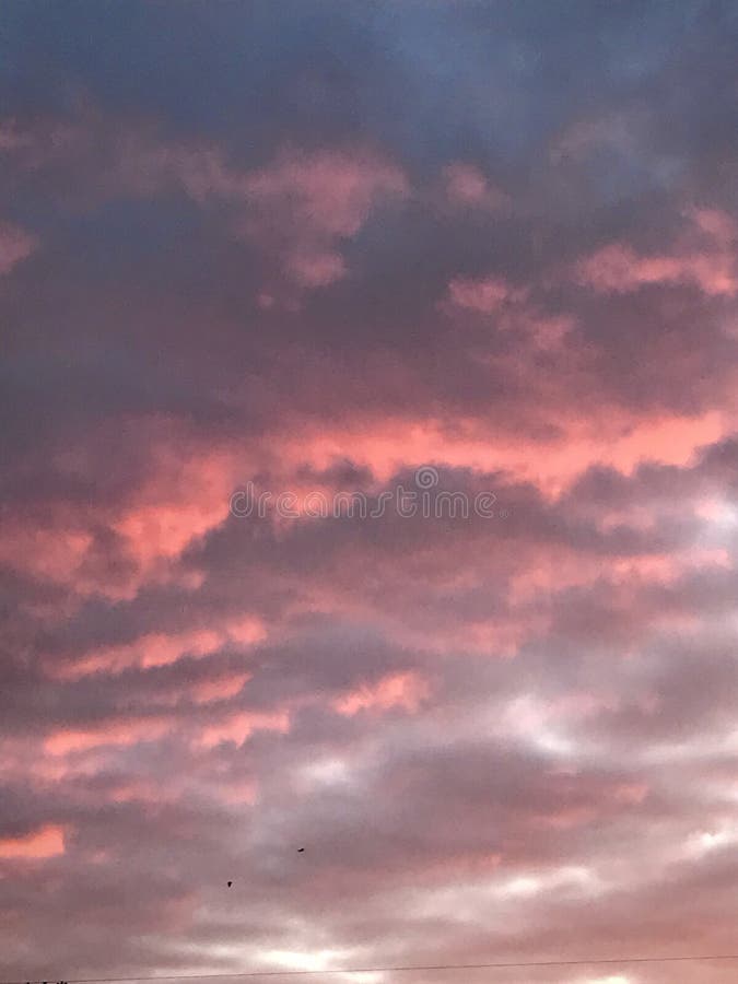 Autumn pink sky stock photo. Image of dawn, afterglow - 329448514