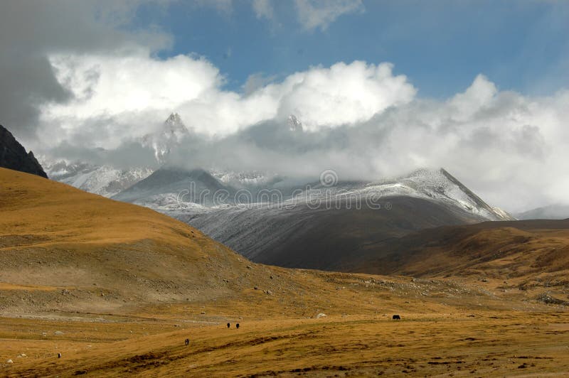 The Autumn Plateau Pasture Picture. Image: 5111420