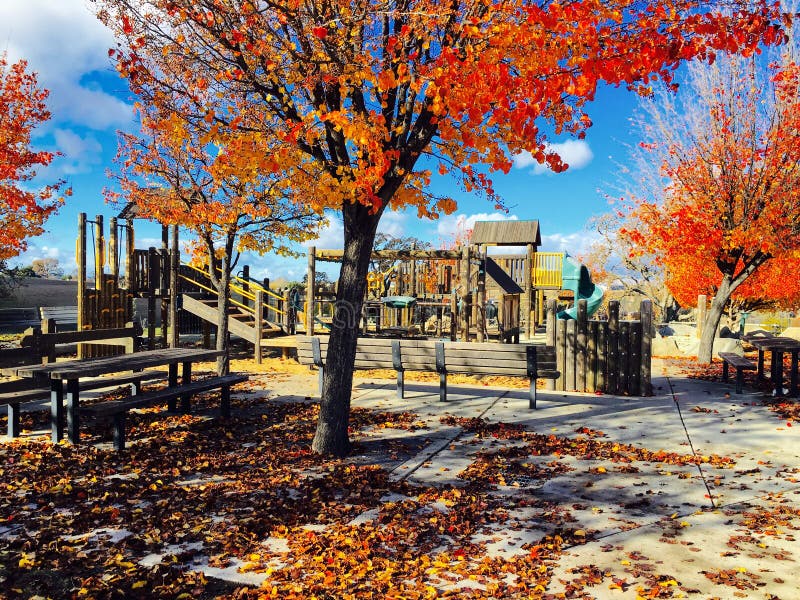 Autumn play stock image. Image of playground, tree, autumn - 64984167