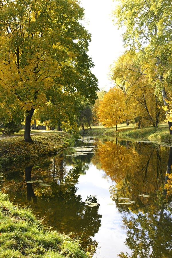 Autumn pond. stock photo. Image of pond, beautifully - 11539164