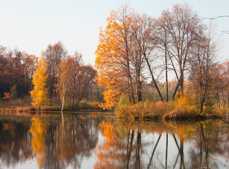 Autumn pond stock photo. Image of tree, park, outdoor - 21572316