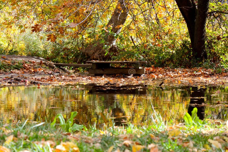 Autumn Pond stock photo. Image of fall, life, water, rustic - 29453124