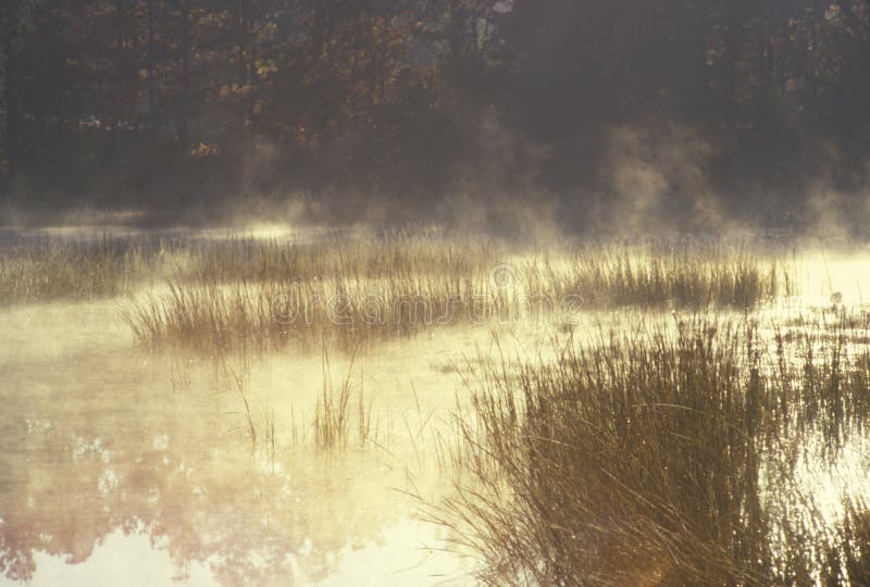 Autumn Pond in Mist stock image. Image of mist, states - 26259771