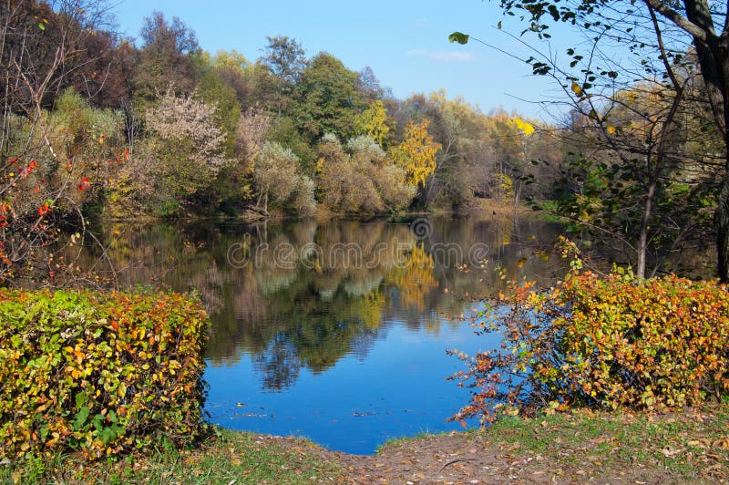 Autumn pond in park stock image. Image of wood, vertical - 21739139