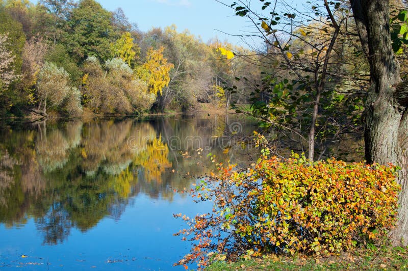 Autumn pond in park stock image. Image of forest, serene - 21739141